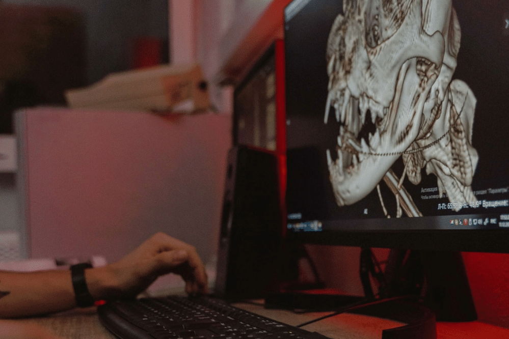 Masters in Health Informatics Jobs: 8 Best Careers